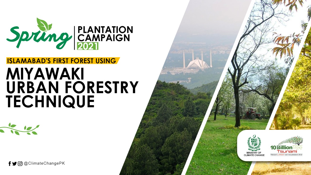 Spring Tree Plantation Campaign 2021 begins in Islamabad