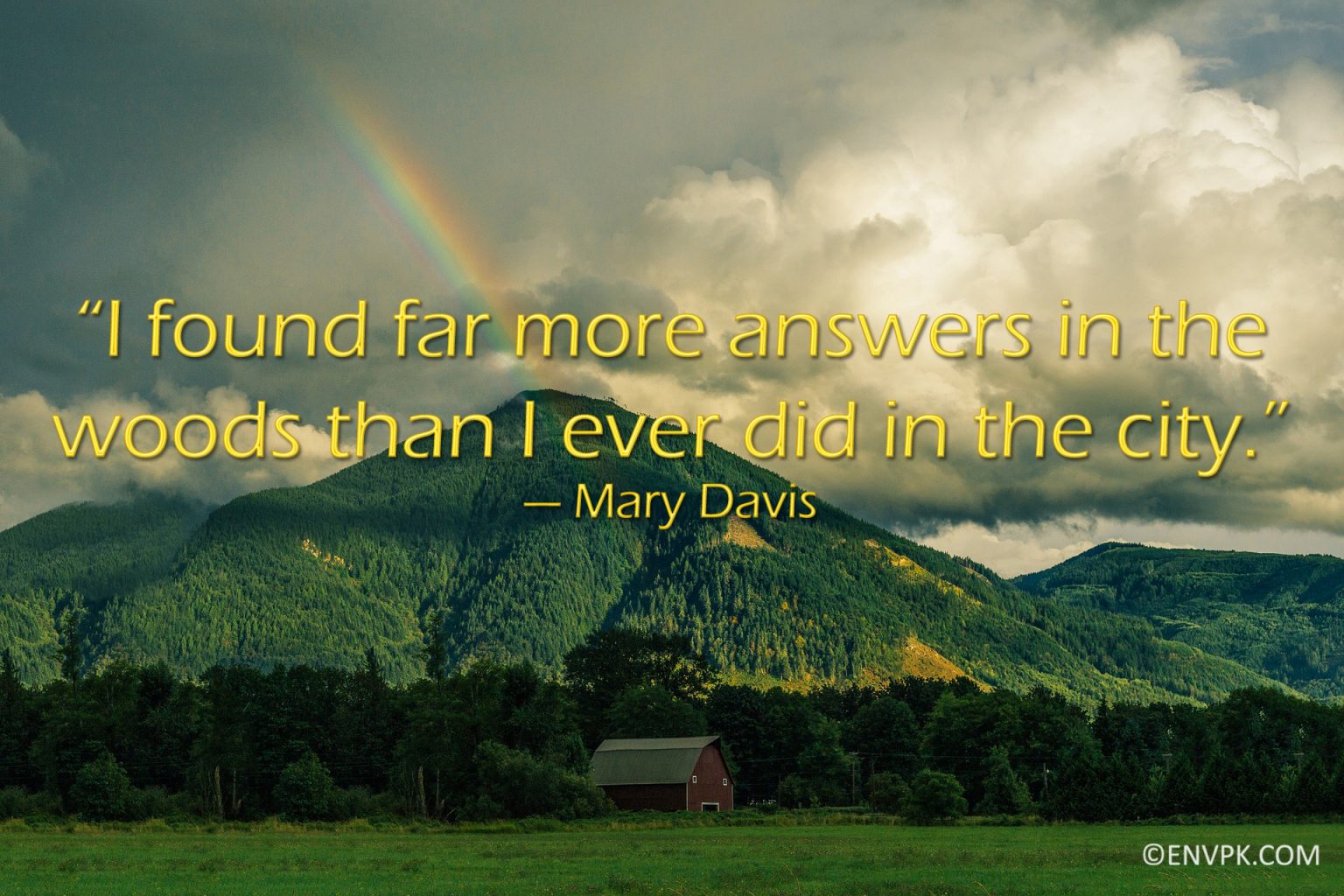 15 Amazing Quote Wallpaper Pictures about Trees and Forests