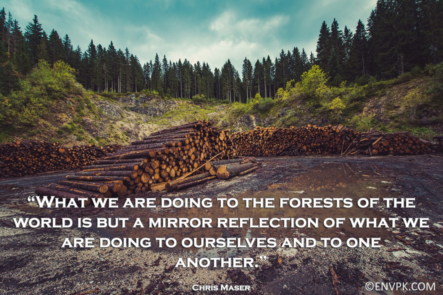 14 Quotes Wallpapers About Environment and its Degradation