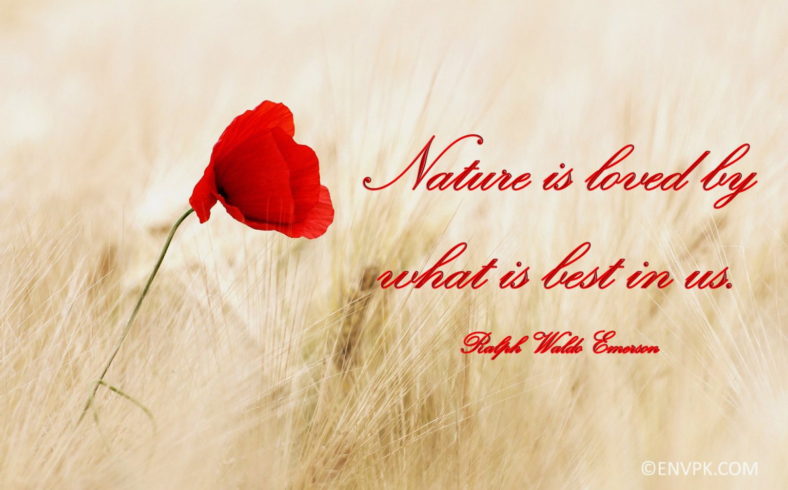 10 Beautiful Nature Quotes Wallpaper Pictures - ENVPK.COM