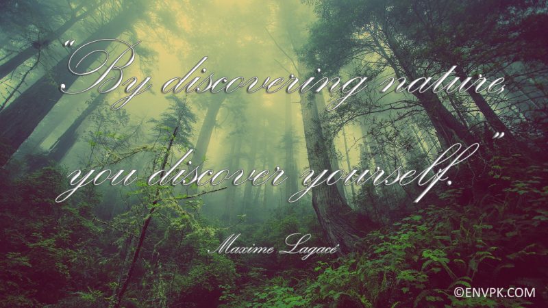 10 Beautiful Nature Quotes Wallpaper Pictures - ENVPK.COM