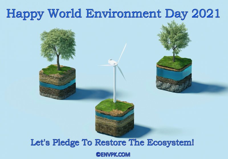 Happy World Environment Day 2021 Display Picture Wallpapers