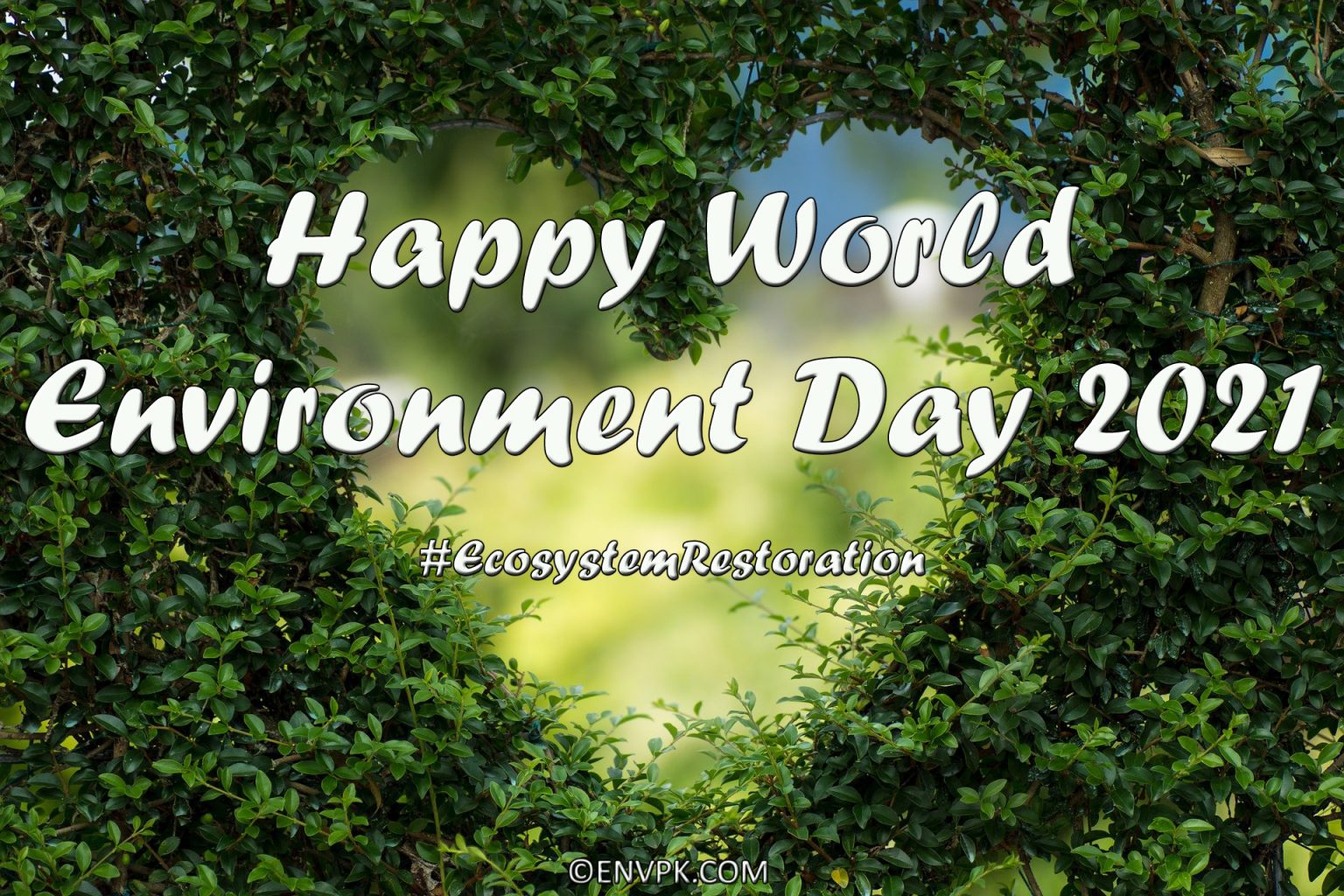 Happy World Environment Day 2021 Display Picture Wallpapers