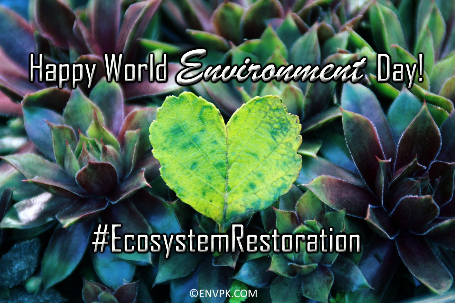 Happy World Environment Day 2021 Display Picture Wallpapers