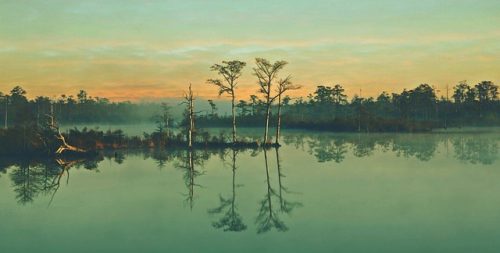Littoral and Swamp Forest Ecosystem of Pakistan - Climatic Biome