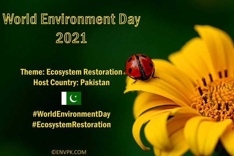 Happy World Environment Day 2021 Pakistan Wallpaper Pictures