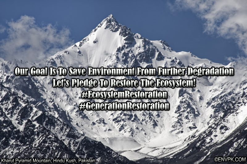 Happy World Environment Day 2021 Pakistan Wallpaper Pictures