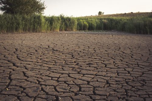 Climate Change Is Increasing Water Scarcity Around The World