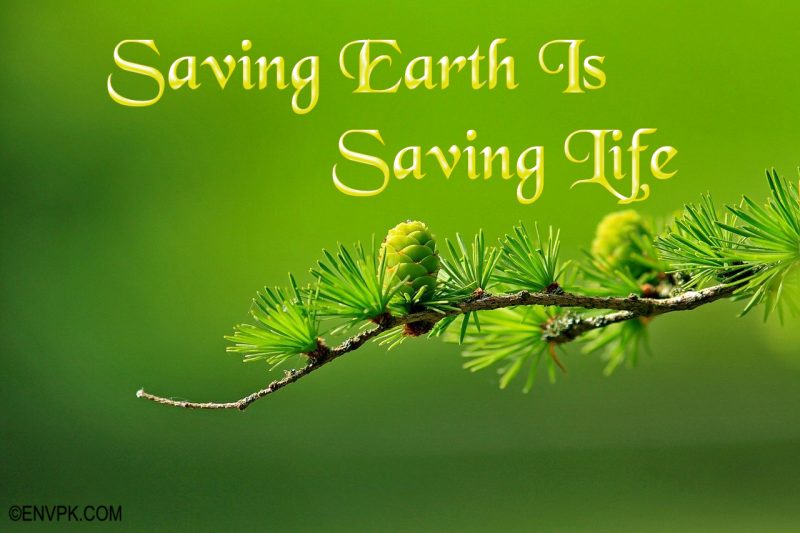 20 Environmental and Ecosystem Restoration Slogans Pictures