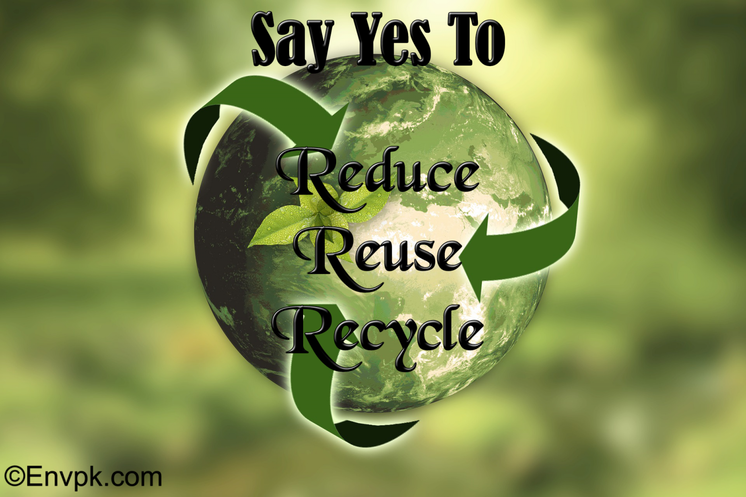 20 Environmental and Ecosystem Restoration Slogans Pictures