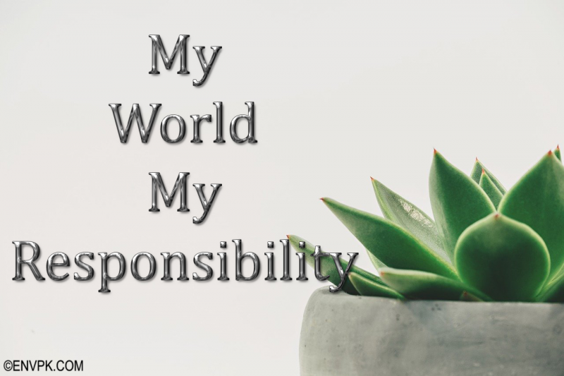 20 Environmental and Ecosystem Restoration Slogans Pictures