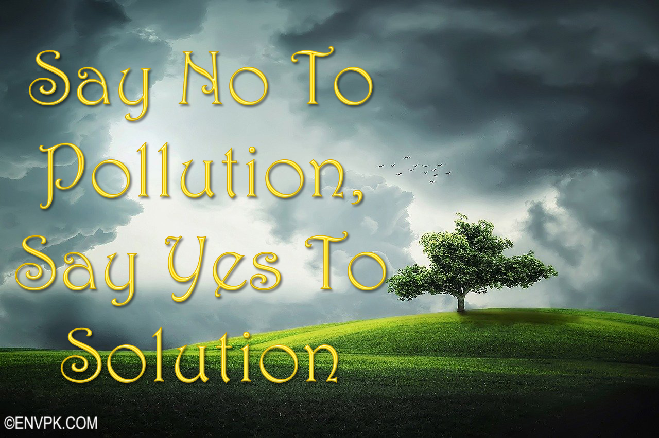 20 Environmental and Ecosystem Restoration Slogans Pictures