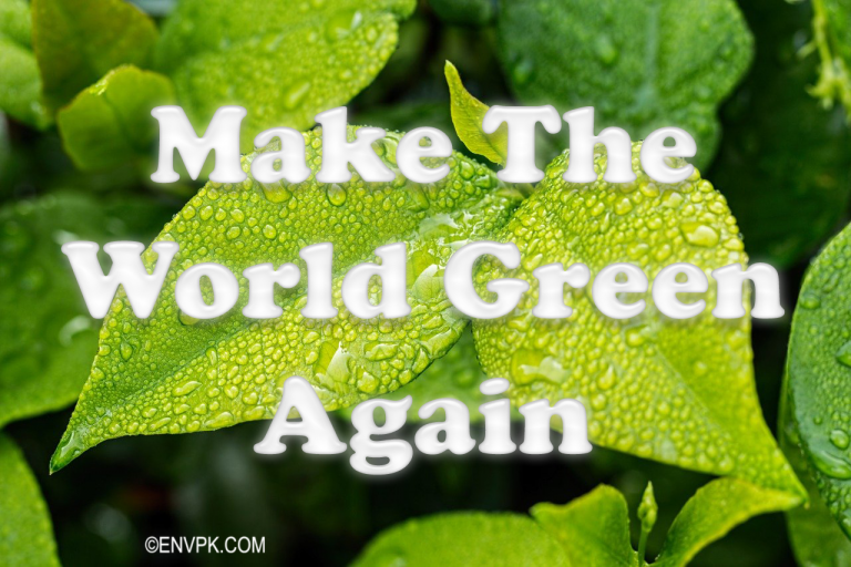 20 Environmental and Ecosystem Restoration Slogans Pictures