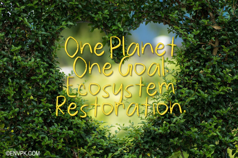 20 Environmental and Ecosystem Restoration Slogans Pictures