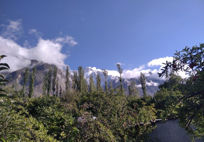 Unique Plant Species Diversity of Gilgit-Baltistan, Pakistan
