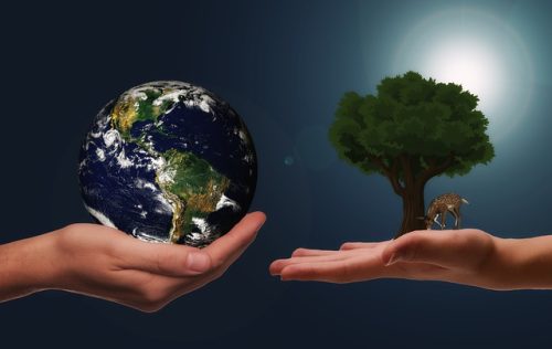 What Is Environmental-Consciousness And Why Is It Important?